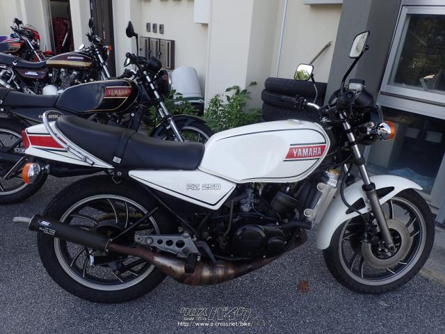 ヤマハ RZ250・250cc・FREE ROAD・20,555km (2022年07月 売約済み) | 沖縄のバイク情報 - クロスバイク